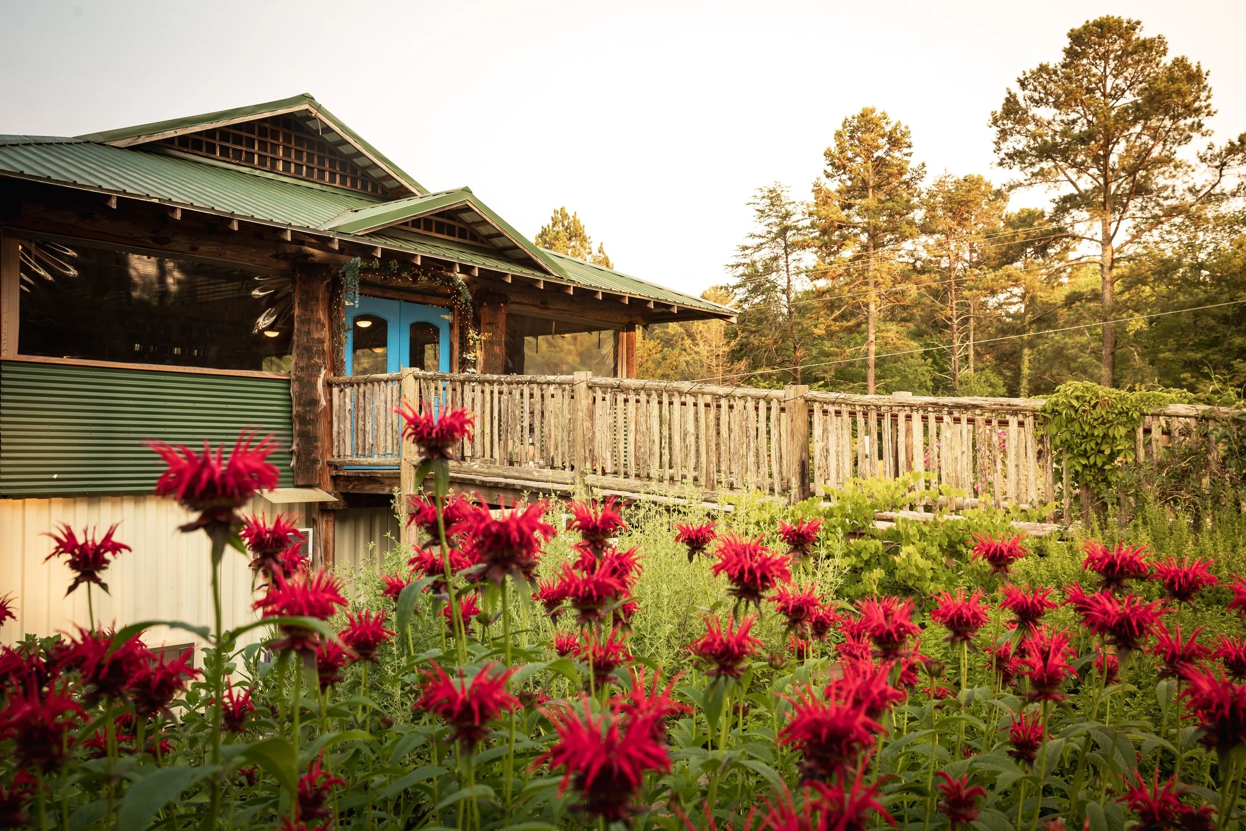 Our Story | Honeysuckle Tea House – Svetlana & Jeff Fisher | Chapel ...