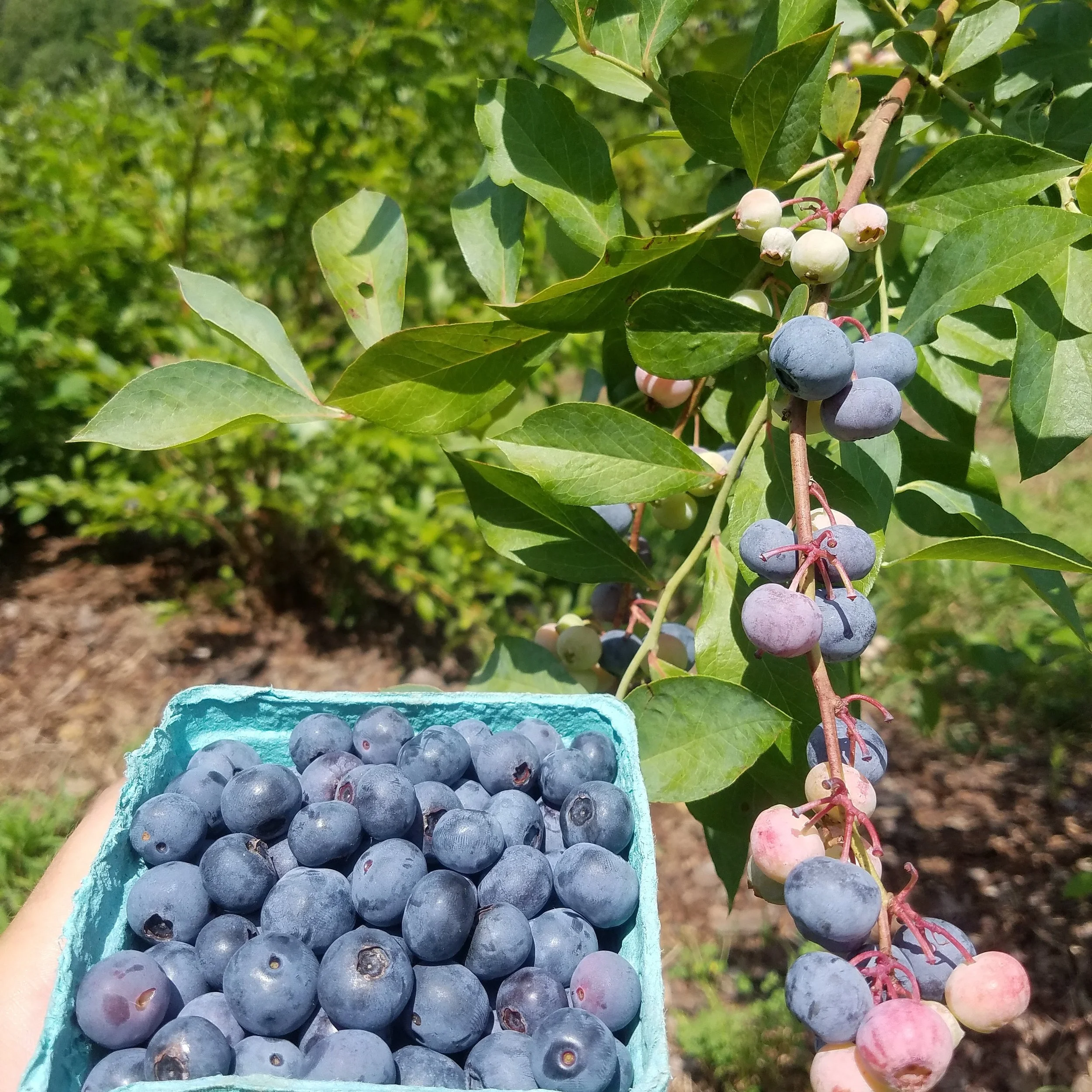 Experience the magic of our farm and create lasting memories — The ...