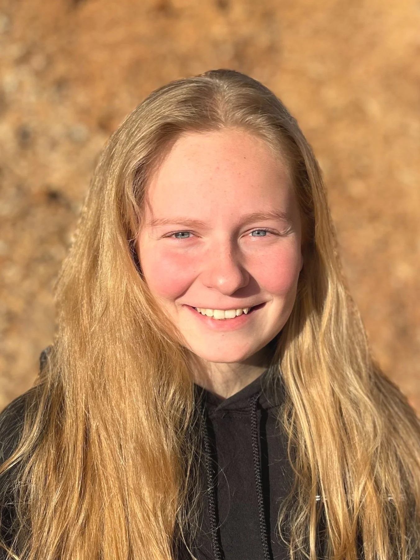 About — Froling Energy | biomass heating | biomass boilers | wood chip ...