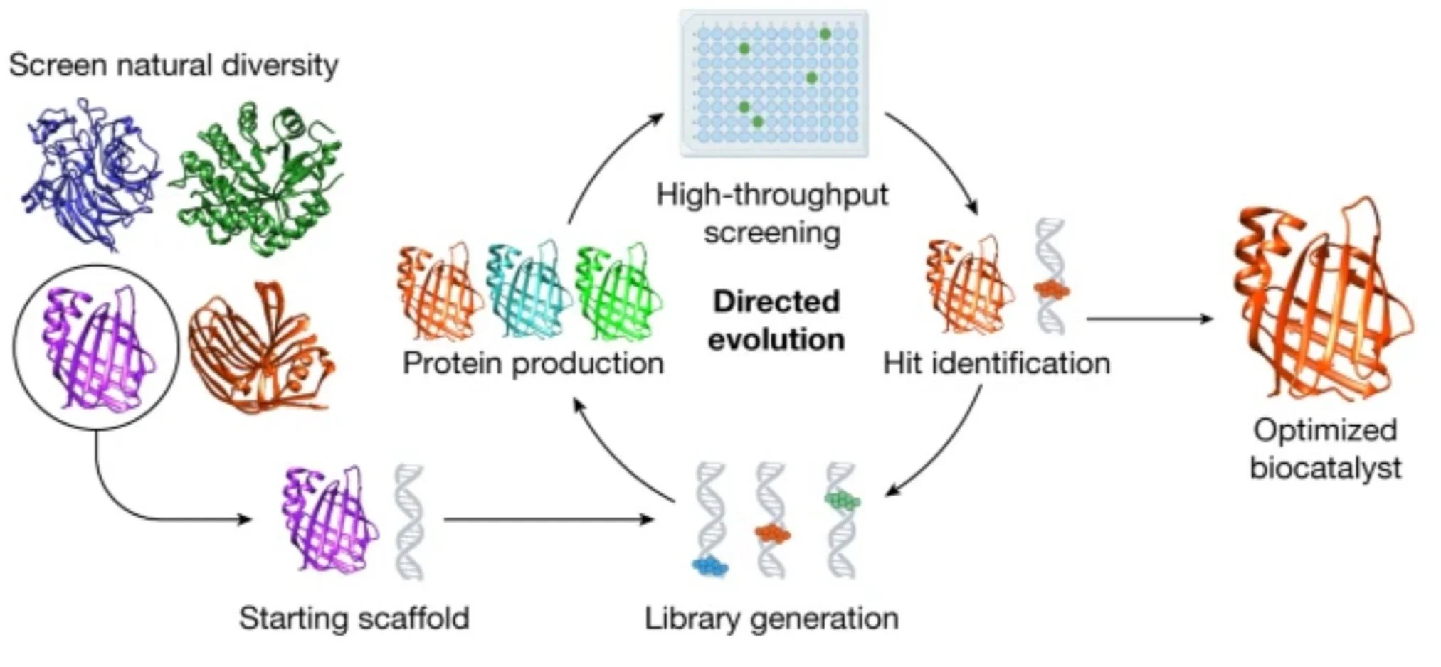 Publications — Lovelock Research Group