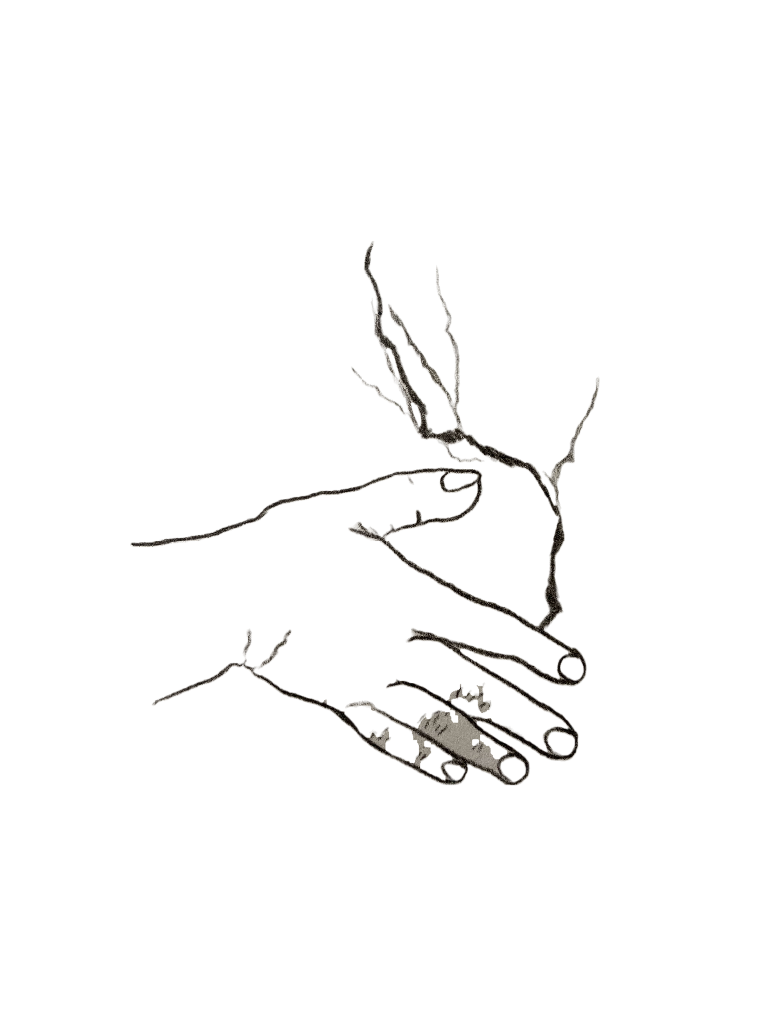 Next Level Drywall and Restoration