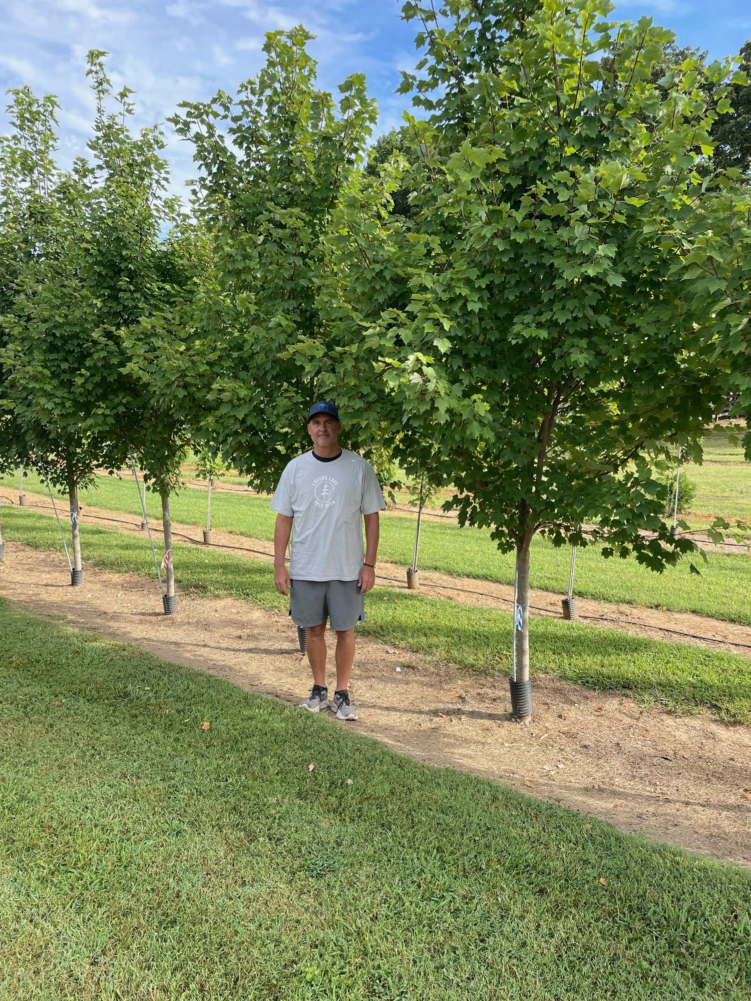 Trees — Landscape Services Inc.