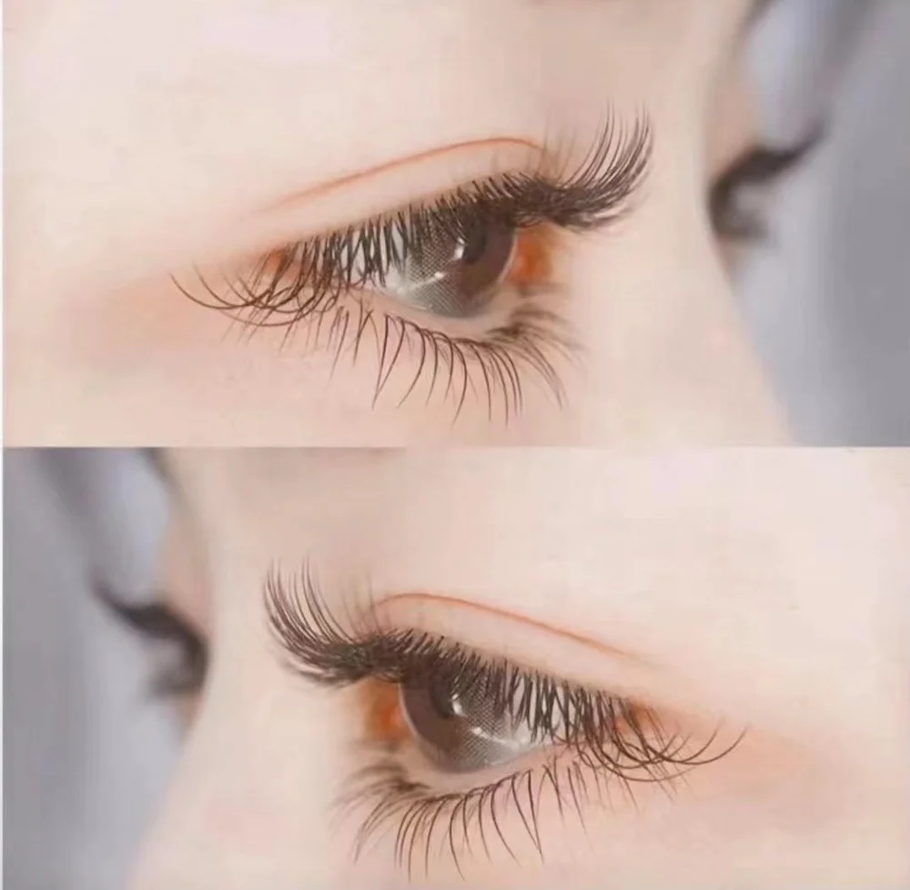 Miss Lash & Brow - High Quality Lash