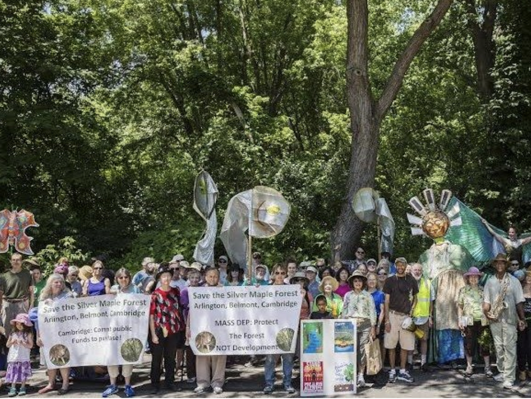 People — Green Cambridge