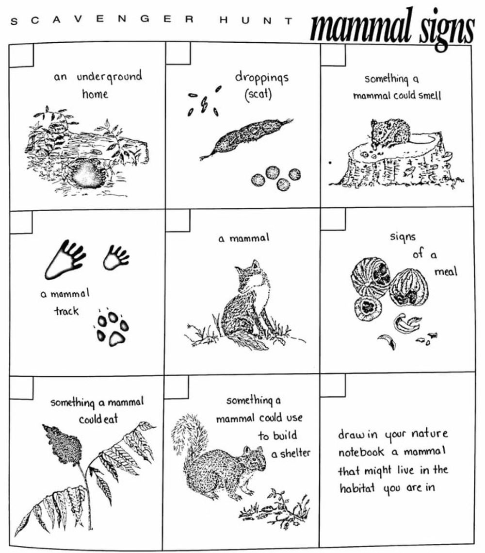 Scavenger Hunts — Green Cambridge