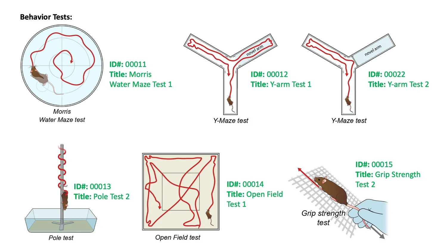 Illustration — THE DAWSON LAB