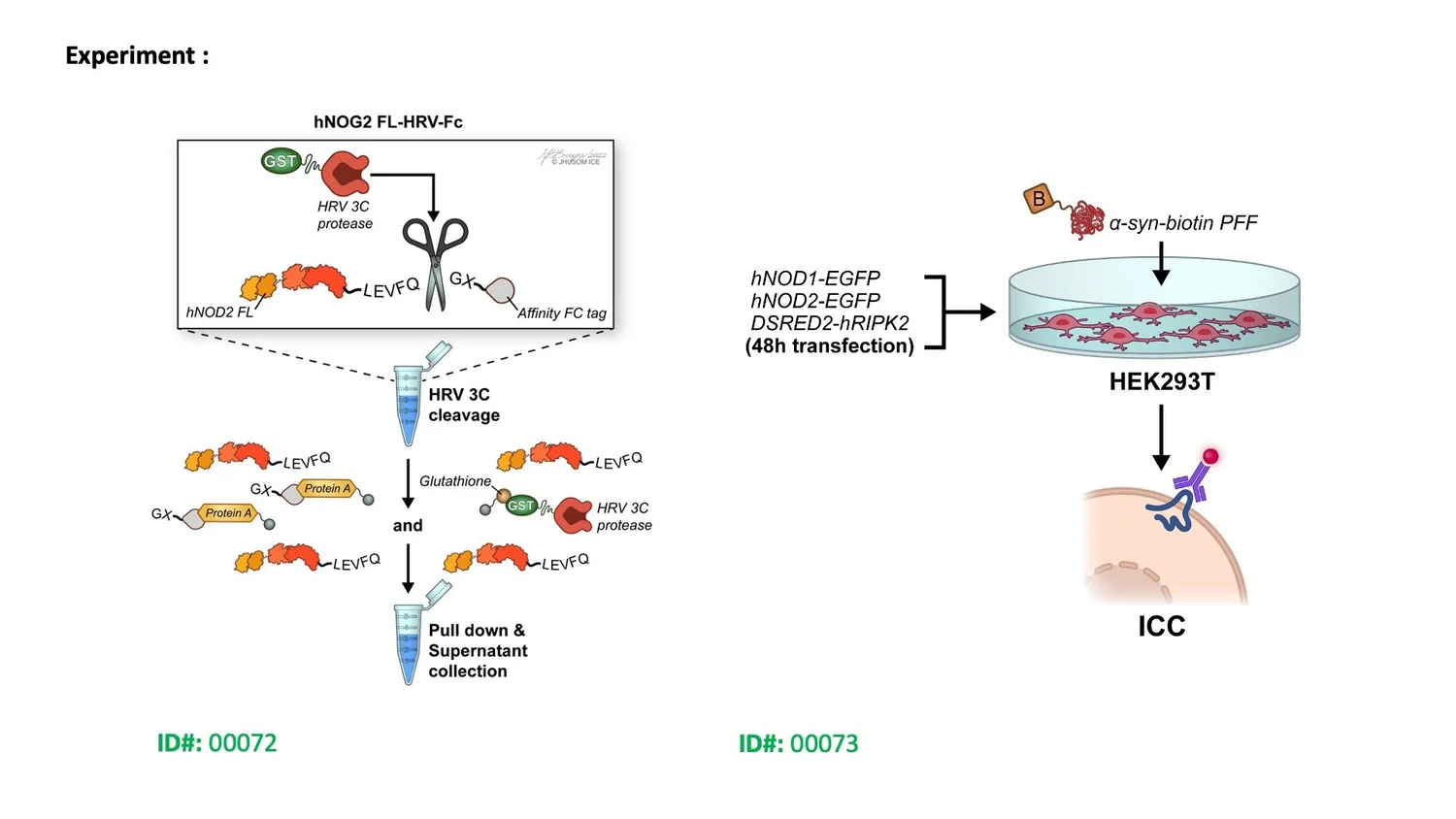 Illustration — THE DAWSON LAB