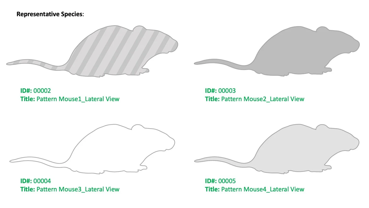 Illustration — THE DAWSON LAB