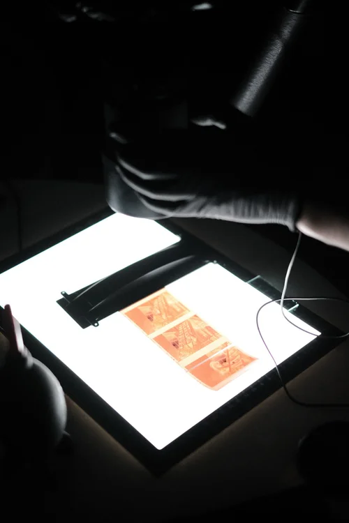 The Magic of Film Development: A Detailed Step-by-Step Guide to ...