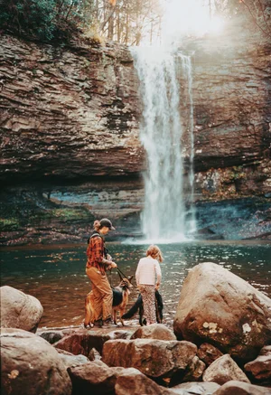 Pushing and Pulling Film: Understanding and Experimenting with Film ...