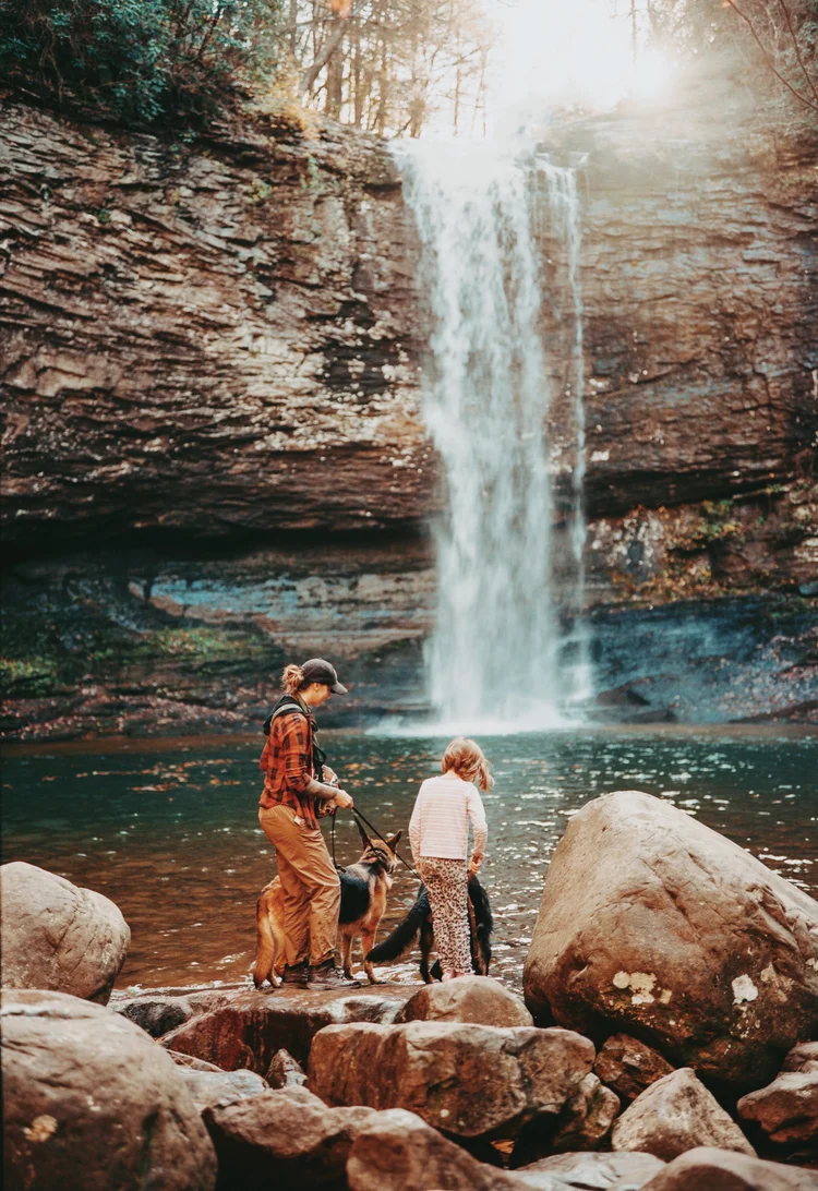 Pushing and Pulling Film: Understanding and Experimenting with Film ...