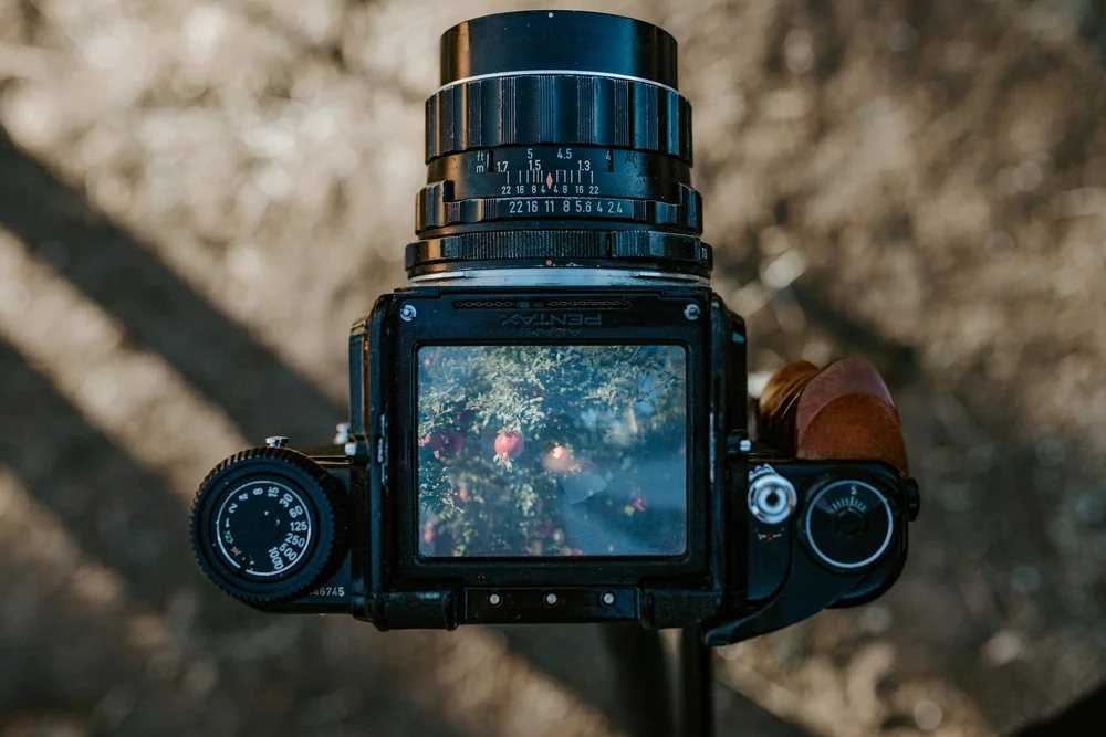 Mastering Medium Format: A Comprehensive Guide to Elevating Your ...