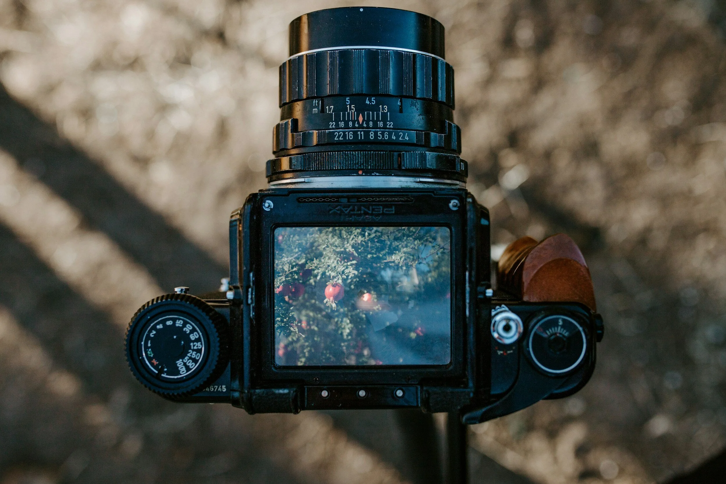 Mastering Medium Format: A Comprehensive Guide to Elevating Your ...