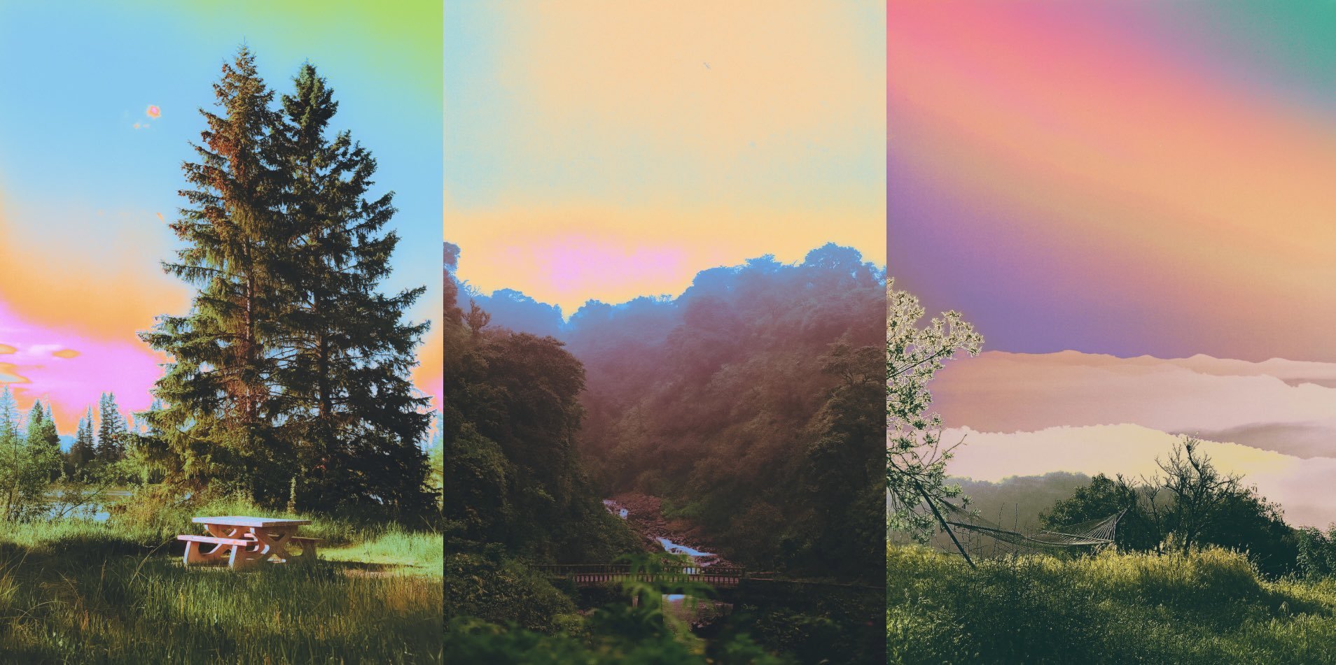 Vibrant Visions: An Exclusive Interview with Photographer and Mental ...