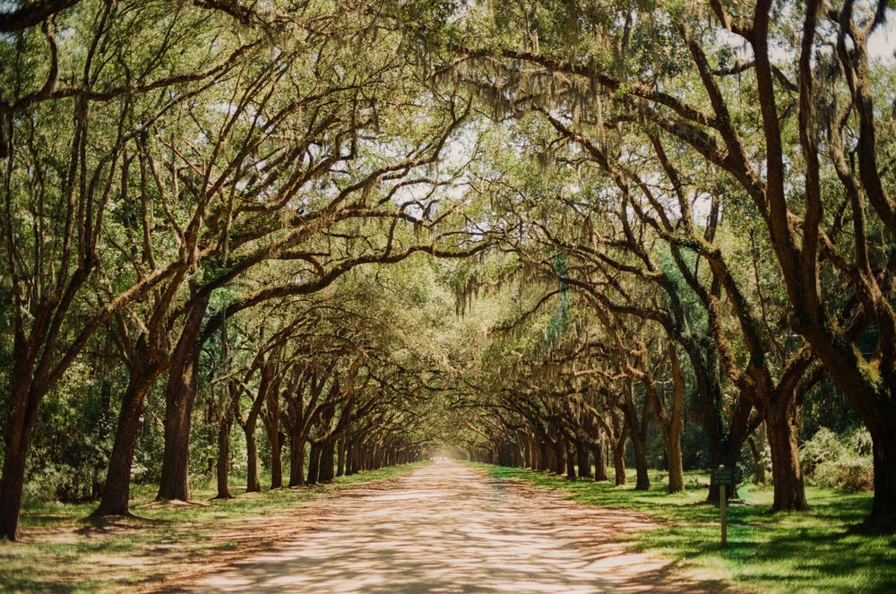 Discover the South: A Photographer's Top 10 Scenic Spots in the ...
