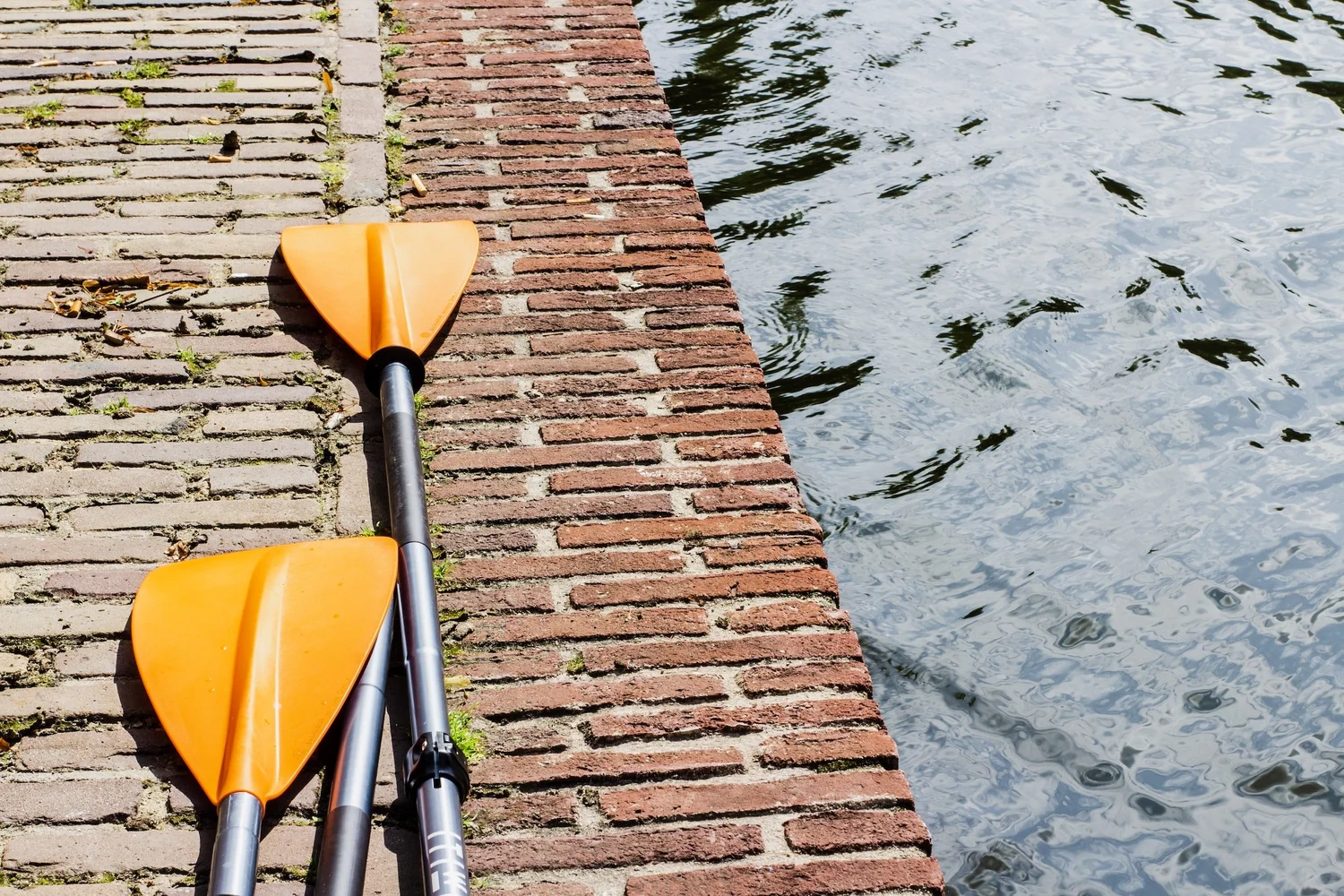 Oar vs Paddle: 3 Key Differences You Need to Know