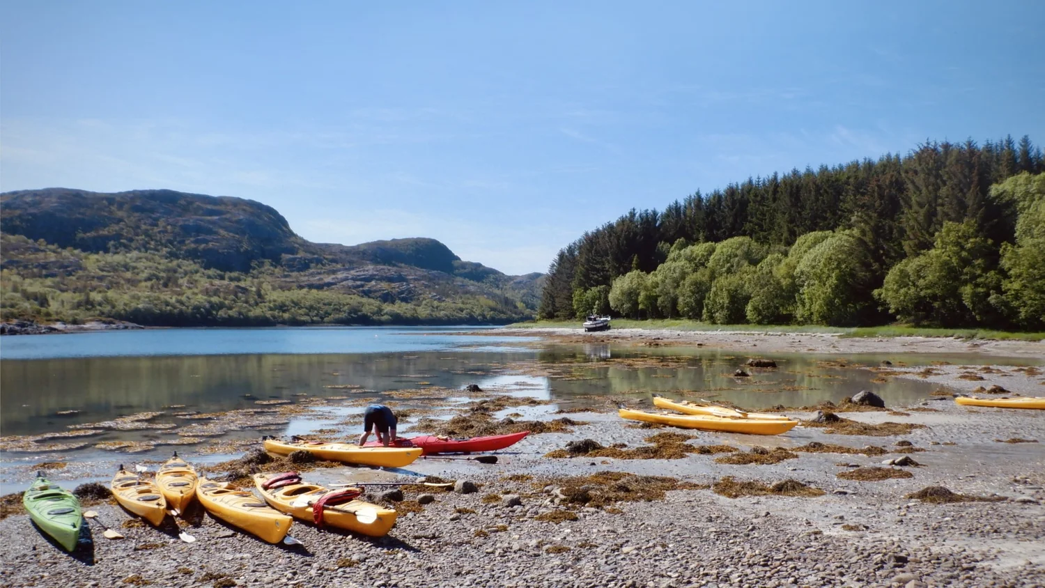 Everything You Need to Know About Flatwater Kayaking — Flatwater Kayak Club