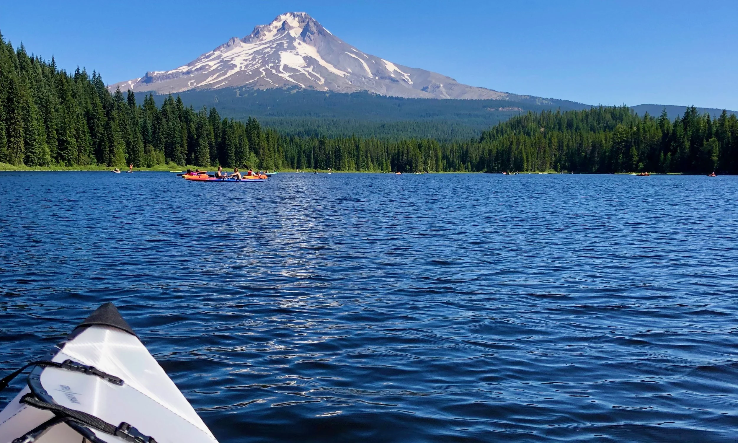 U.S. Kayaking Trends: Top Regions [REAL-TIME DATA]