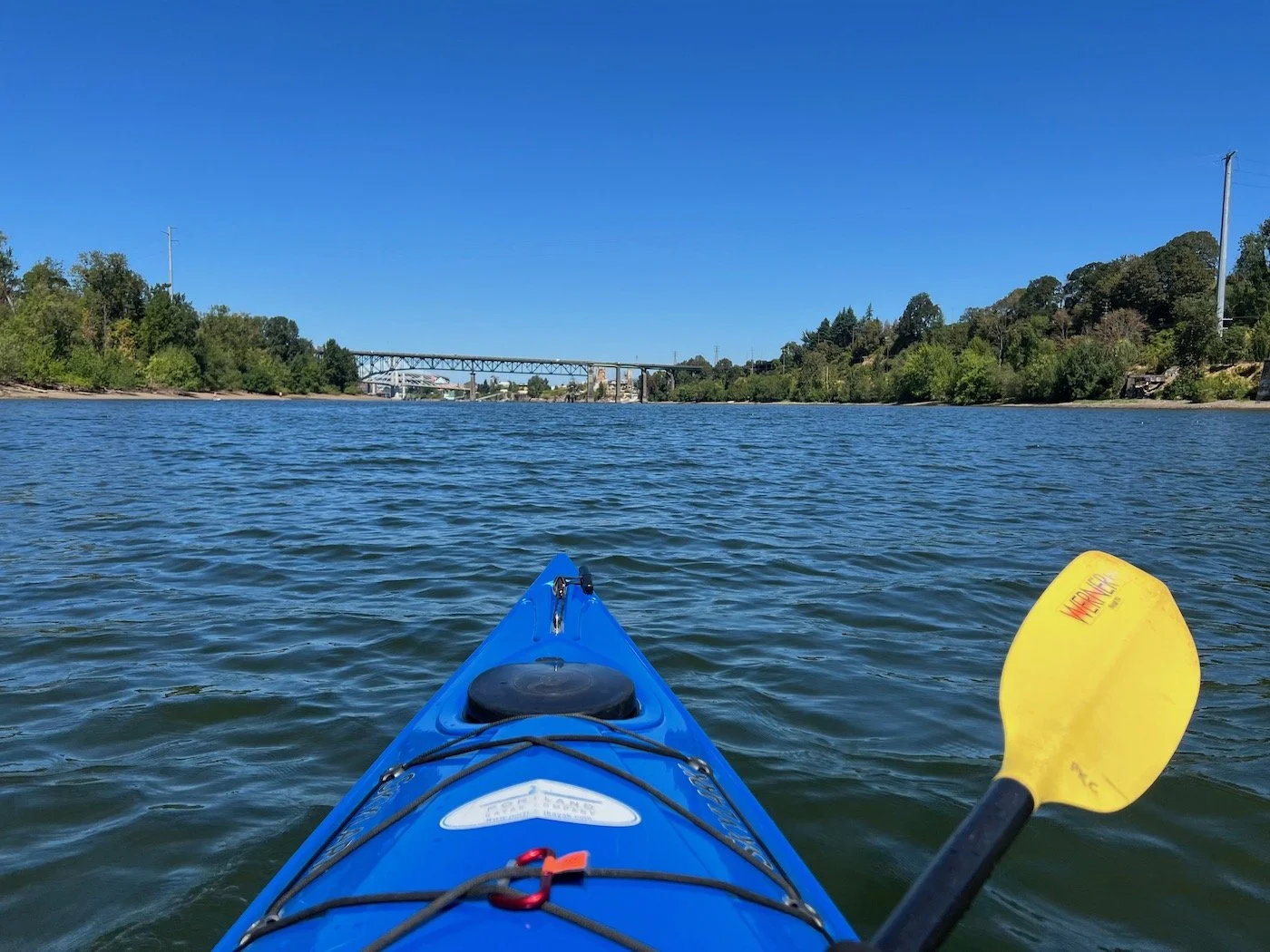 30+ Powerful & Inspiring River Quotes on Navigating Life's Currents