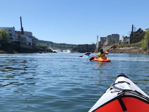 Everything You Need to Know About Flatwater Kayaking
