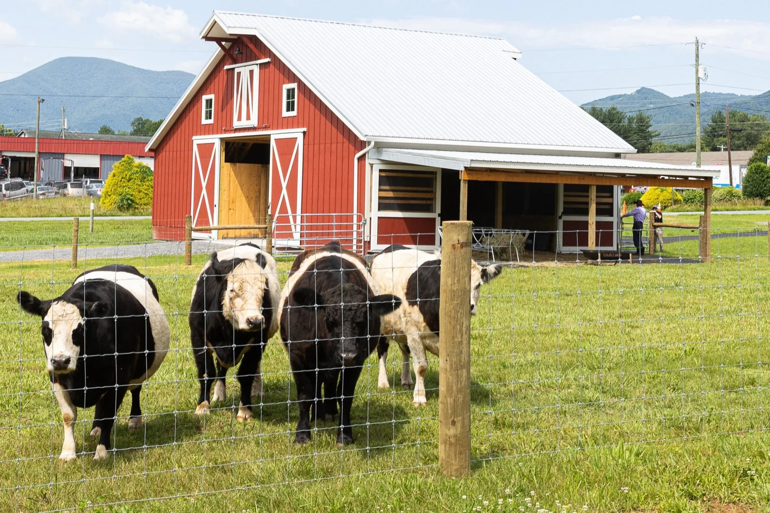 Our Story — Belties