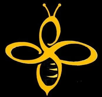 What You Can Learn From A Cat — Deborah Sankey