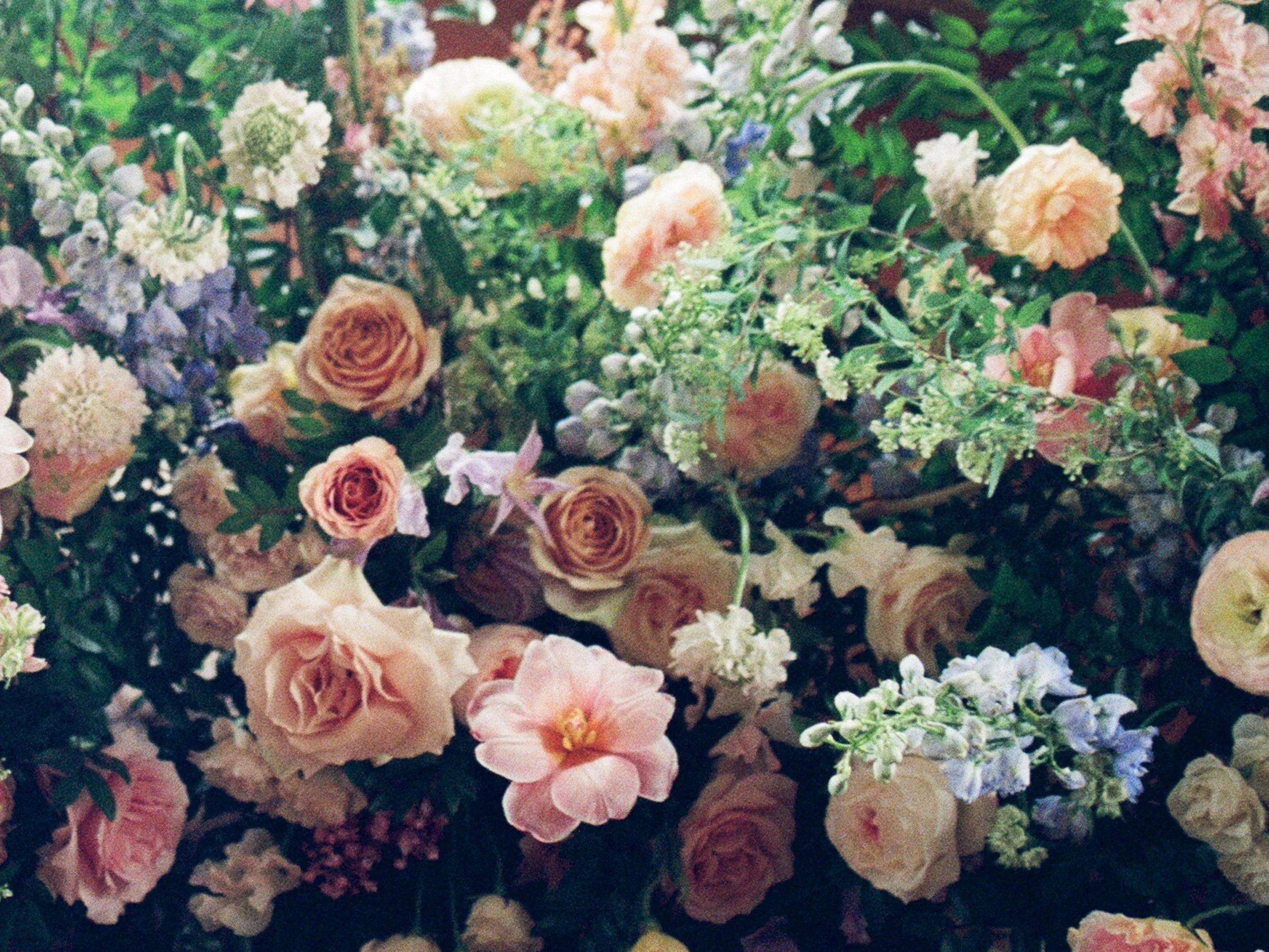Emma Harris Floral - Pittsburgh Wedding Florist
