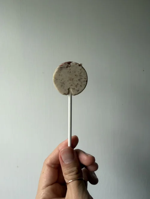 Bone Marrow Honey Lollipops (2 Ingredients) + How to Reuse the Bones ...