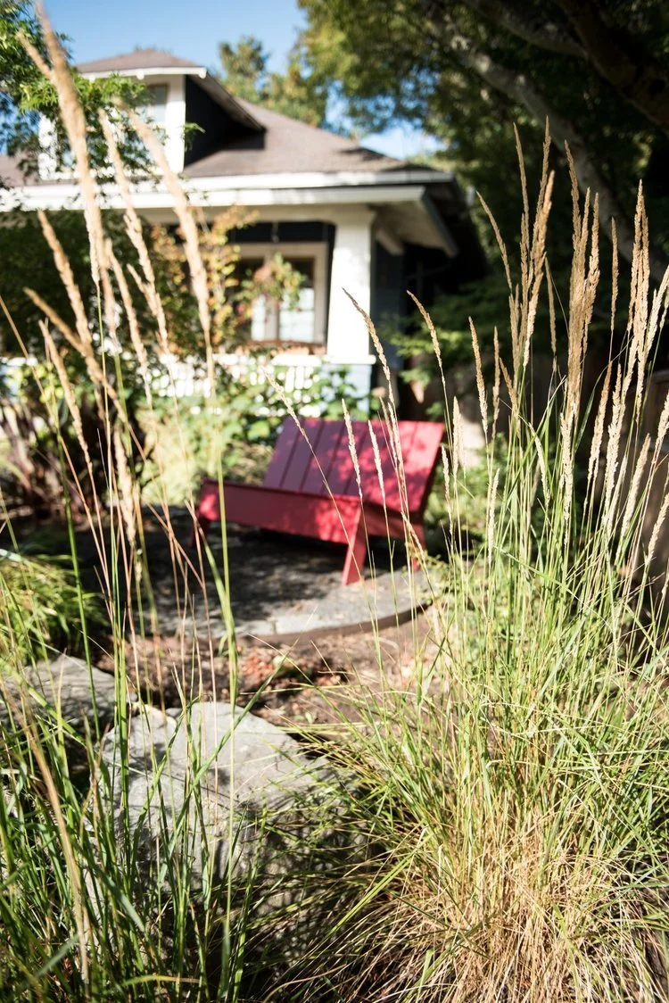 Fusion Lab — Fusion Landscape Design