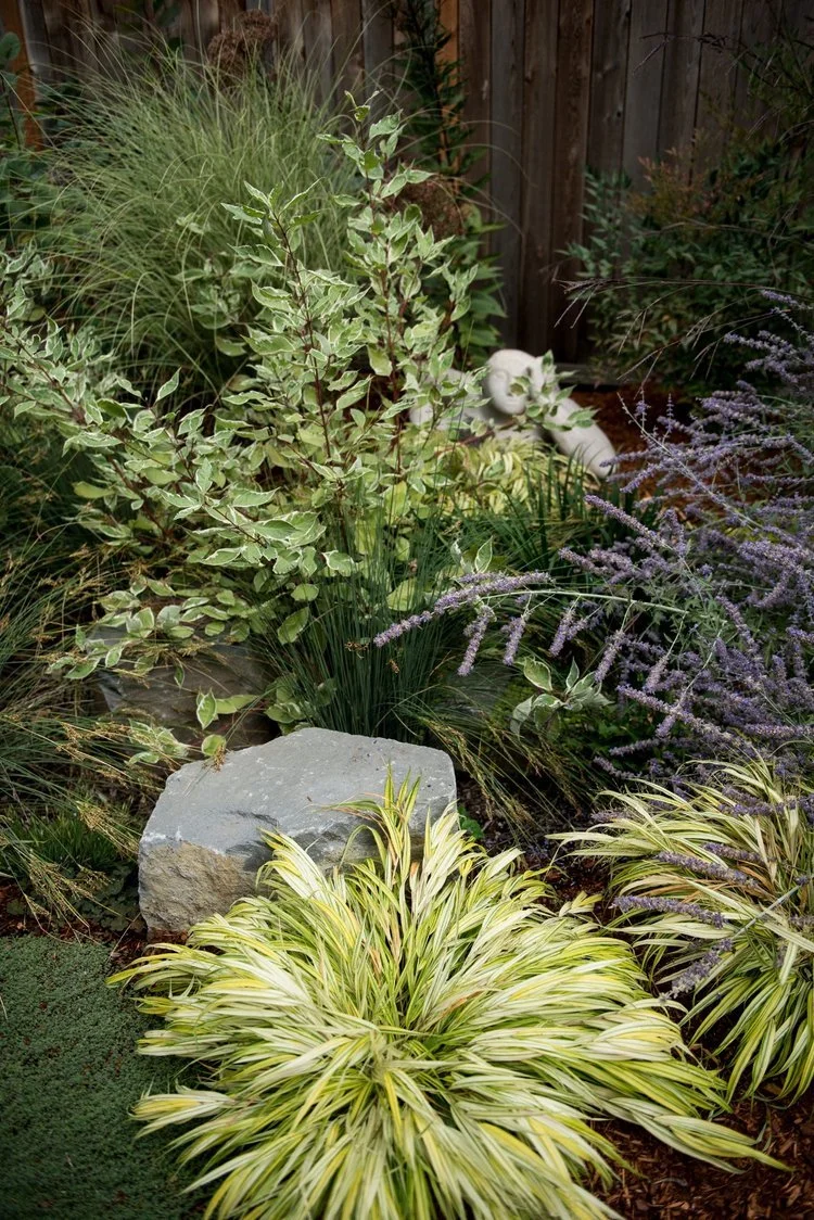 Fusion Lab — Fusion Landscape Design