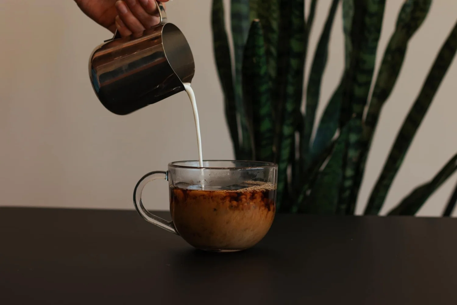 Sanctuary Coffee Co.