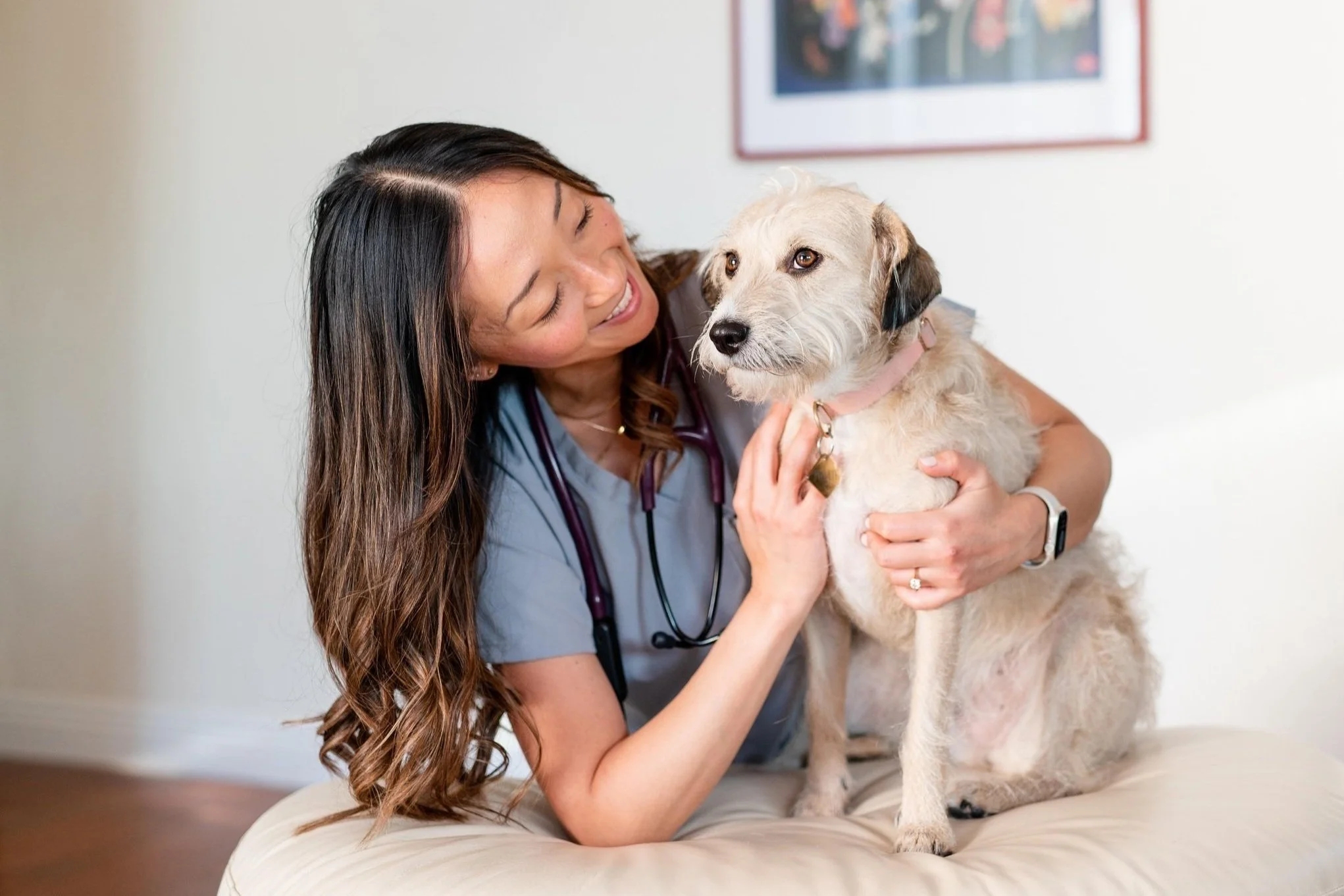 Sunny Side Veterinary - Mobile Veterinarian