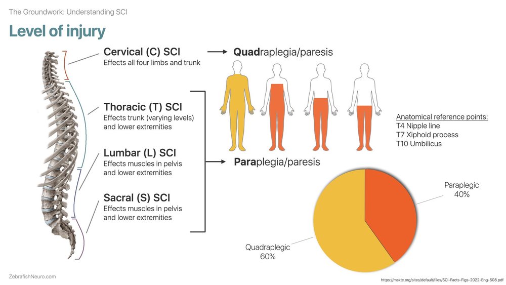 Getting started with SCI clients: online continuing education course ...