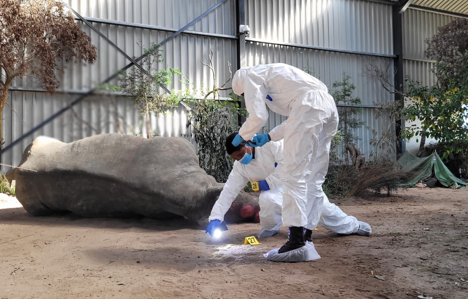 WFF receives CSI for Wildlife Grant by DierenPark Amersfoort — European ...