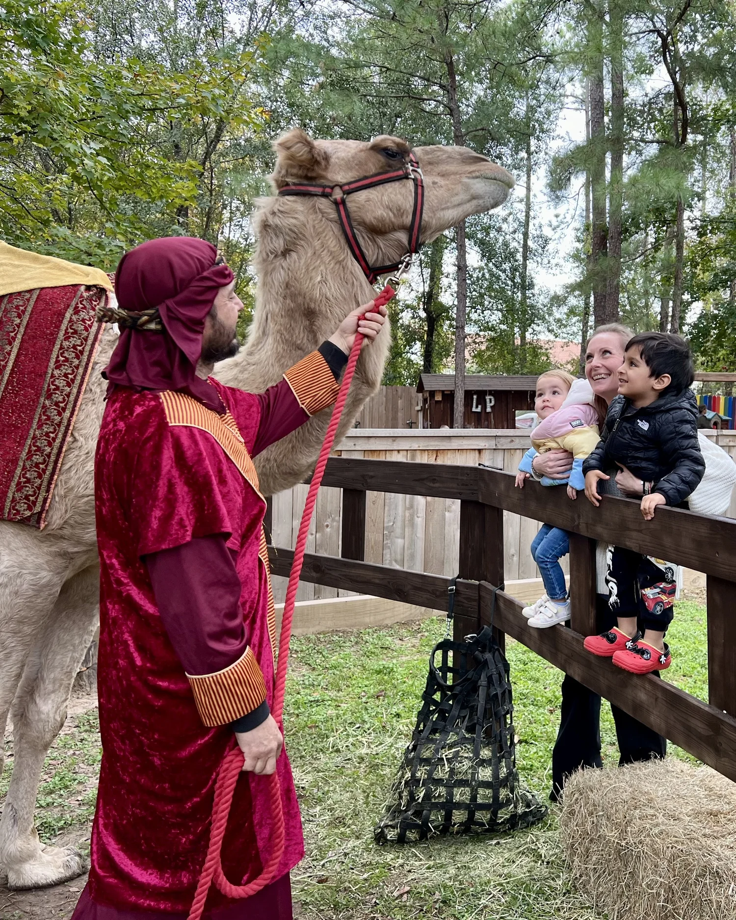 Admissions — The Early Learning Program