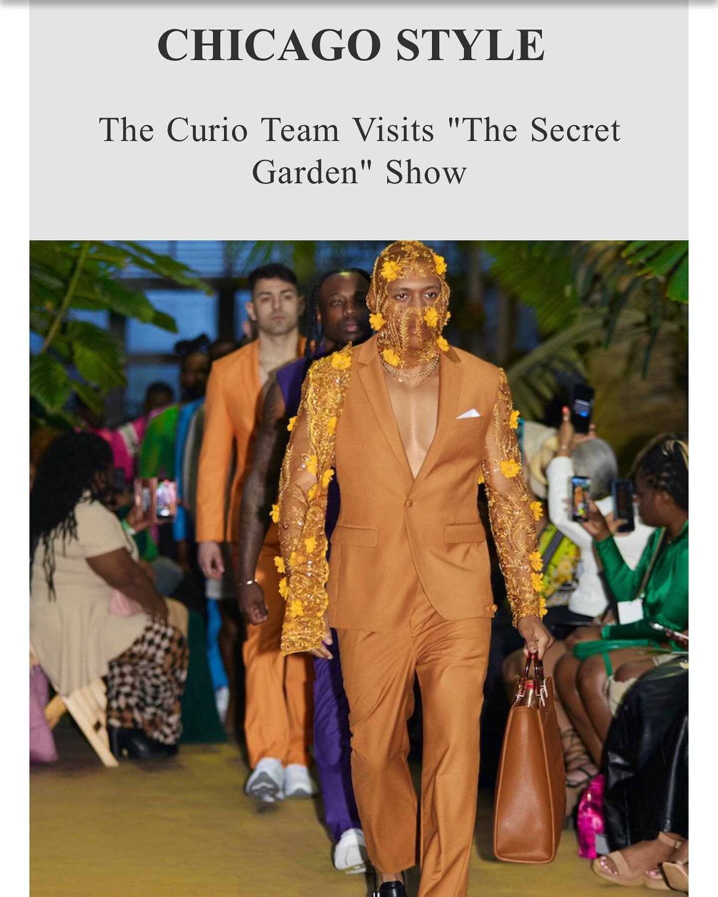 The Curio