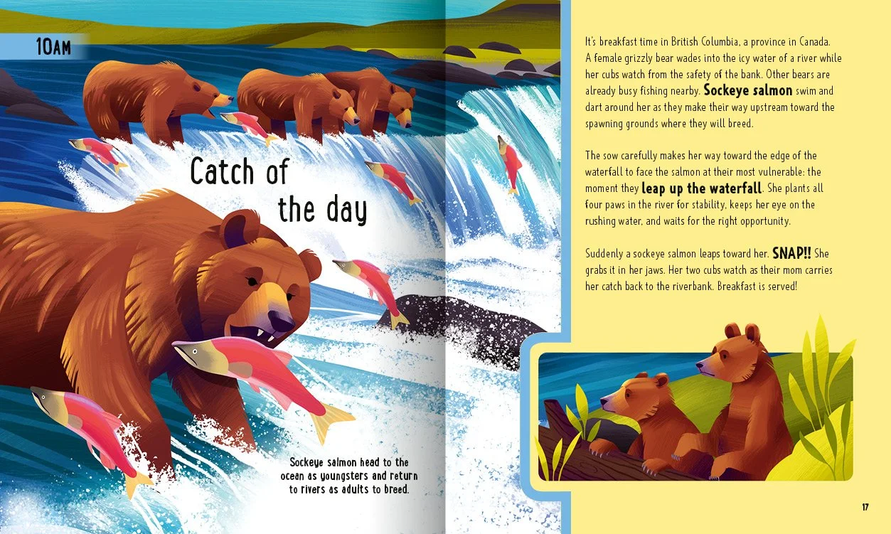 Day in the Life: Bears — Rebecca Mills Illustrator