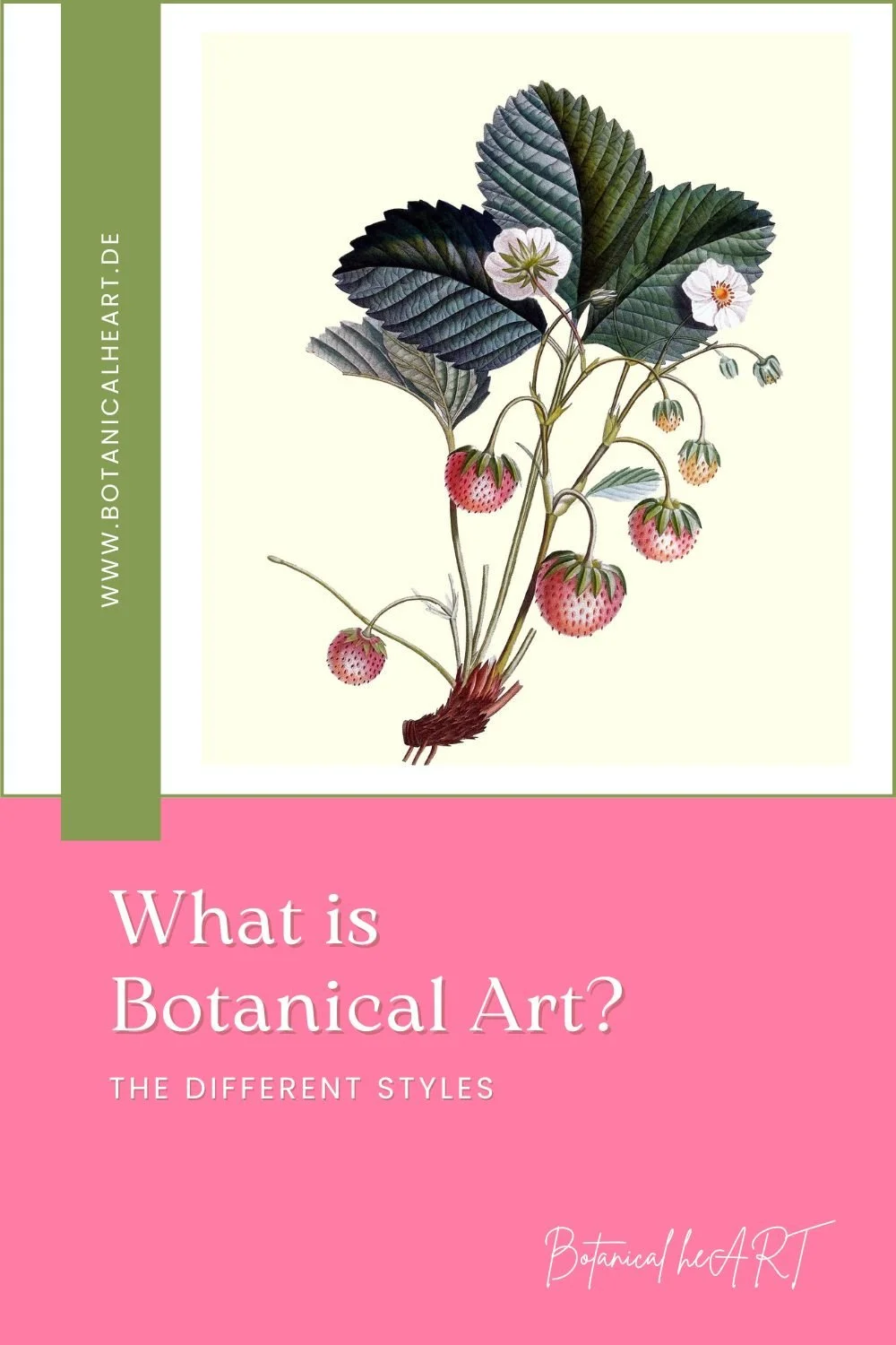 The Botanical heART Blog - Everything around Botanical Art — Botanical ...