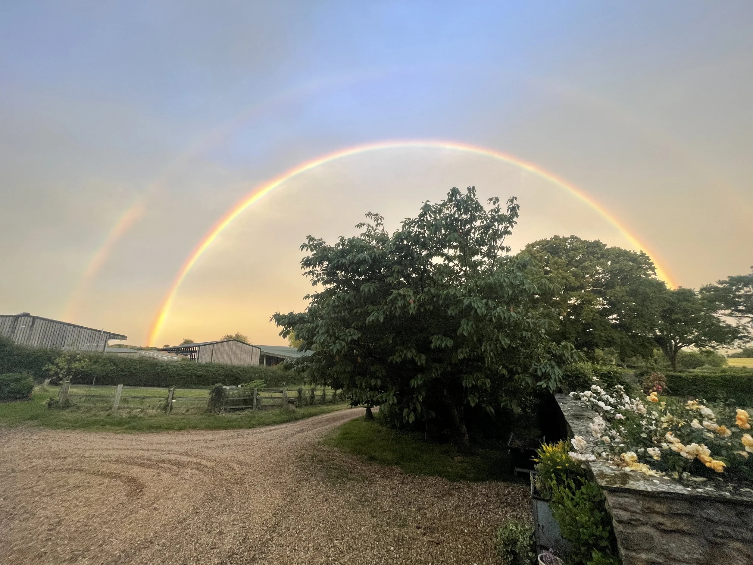 About | Explore Fresh Farm Products Today — Gorse Farm