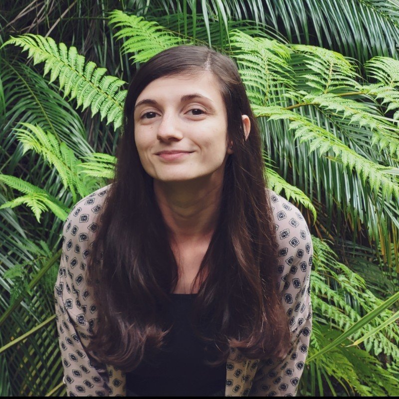 Experti — Transformator