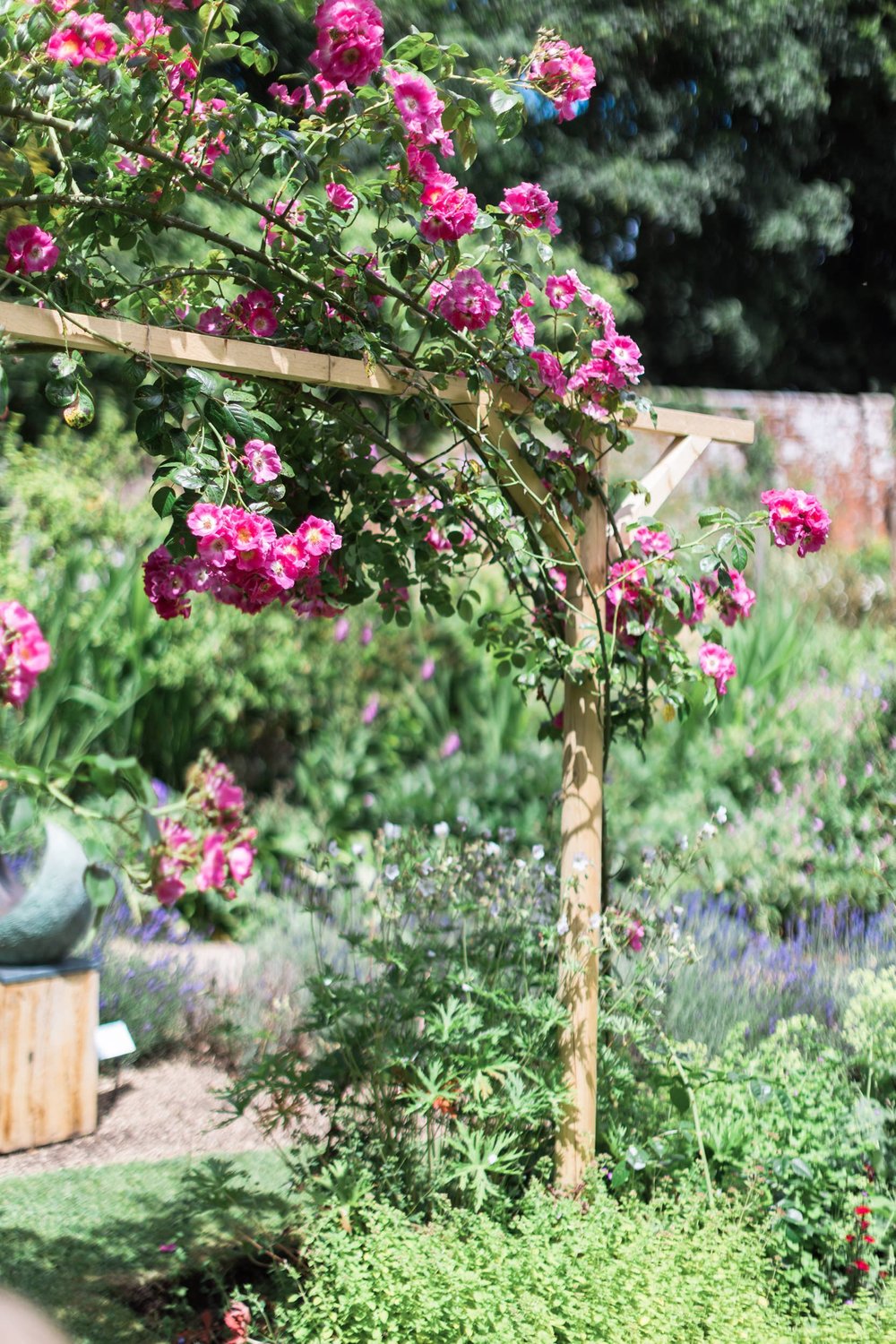 Jessica Holcombe | Garden Designer Gloucestershire
