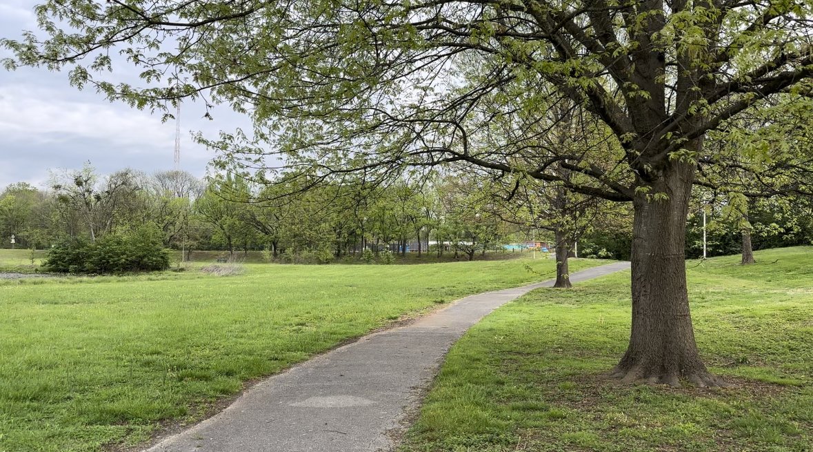 'They need a boost': The past and present of Chattanooga's parks ...