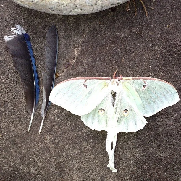 About ReWilding: Lab | Nature-Based Wellness & Personal Growth ...