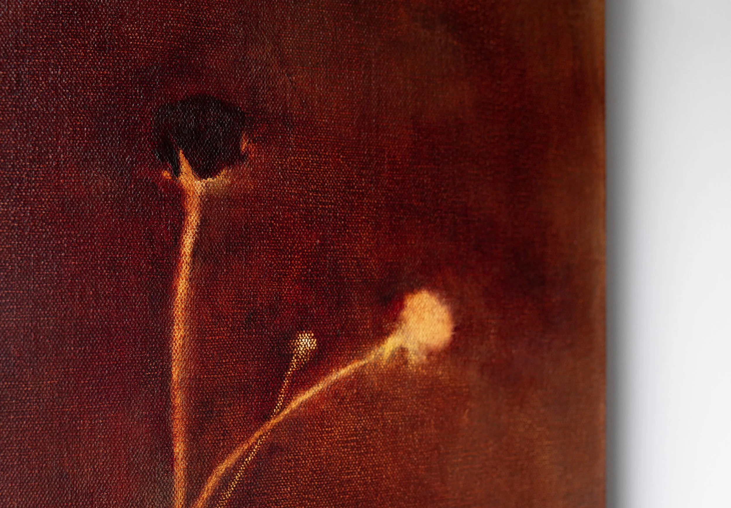 Work — Amanda Nolan