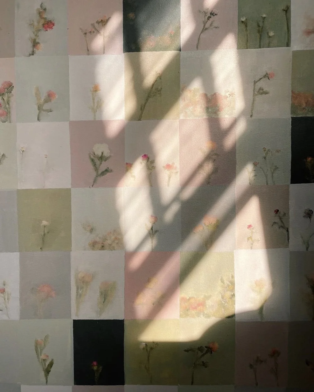 Artist Statement — Amanda Nolan