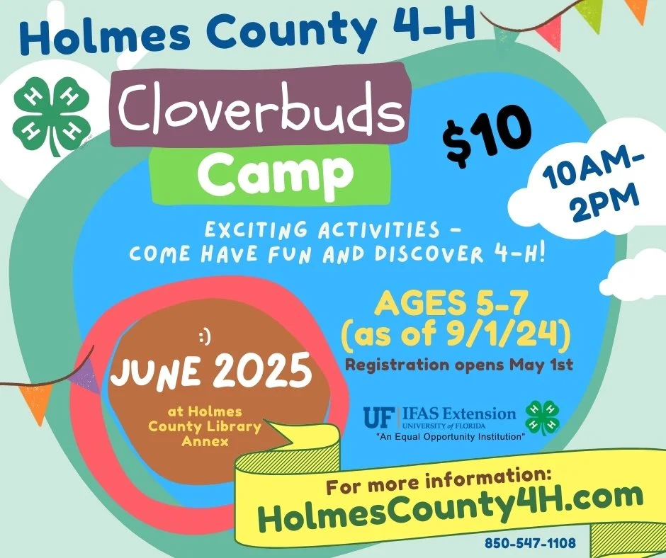 Summer Day Camps — Holmes County 4-H