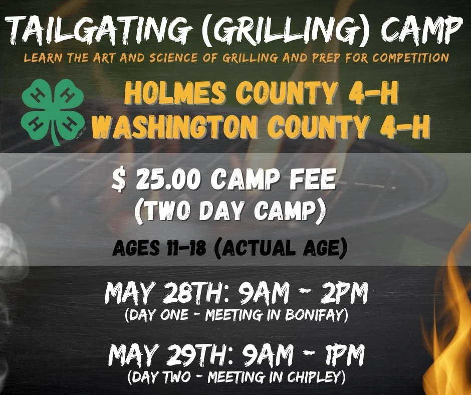 Summer Day Camps — Holmes County 4-H