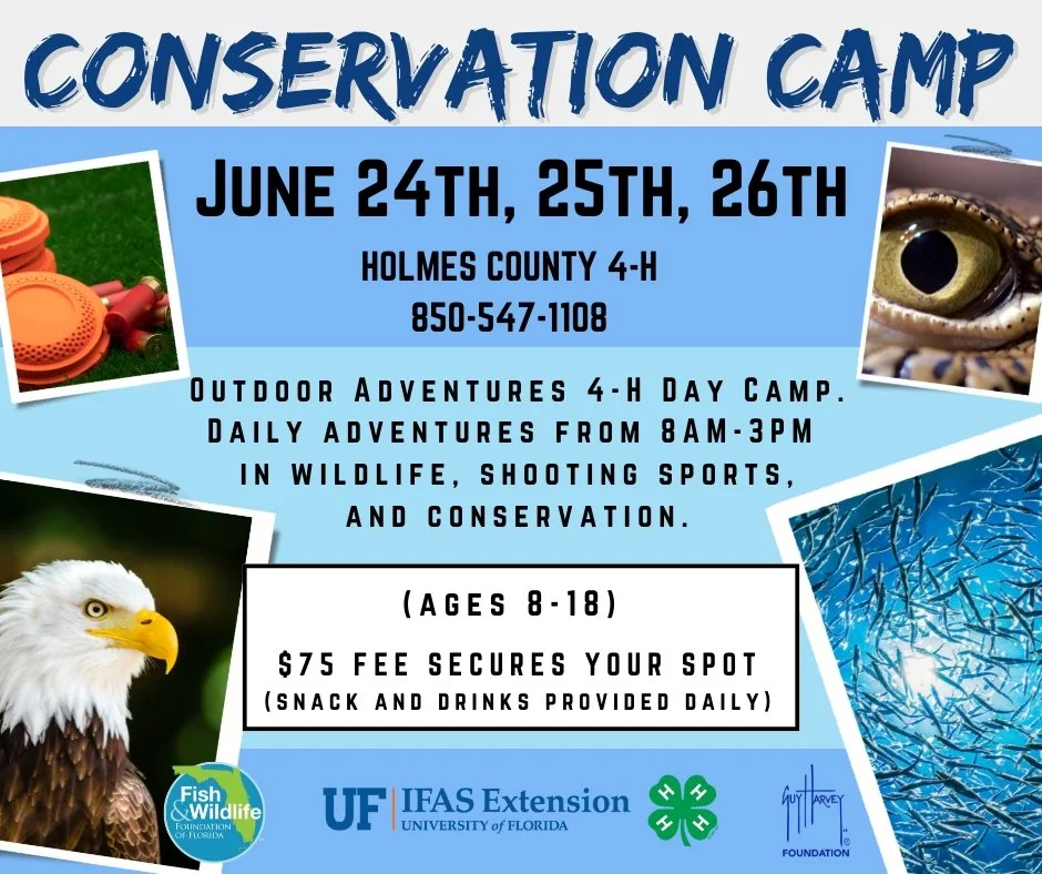 Summer Day Camps — Holmes County 4-H