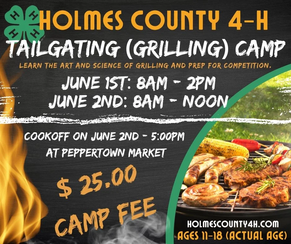 Summer Day Camps — Holmes County 4-H