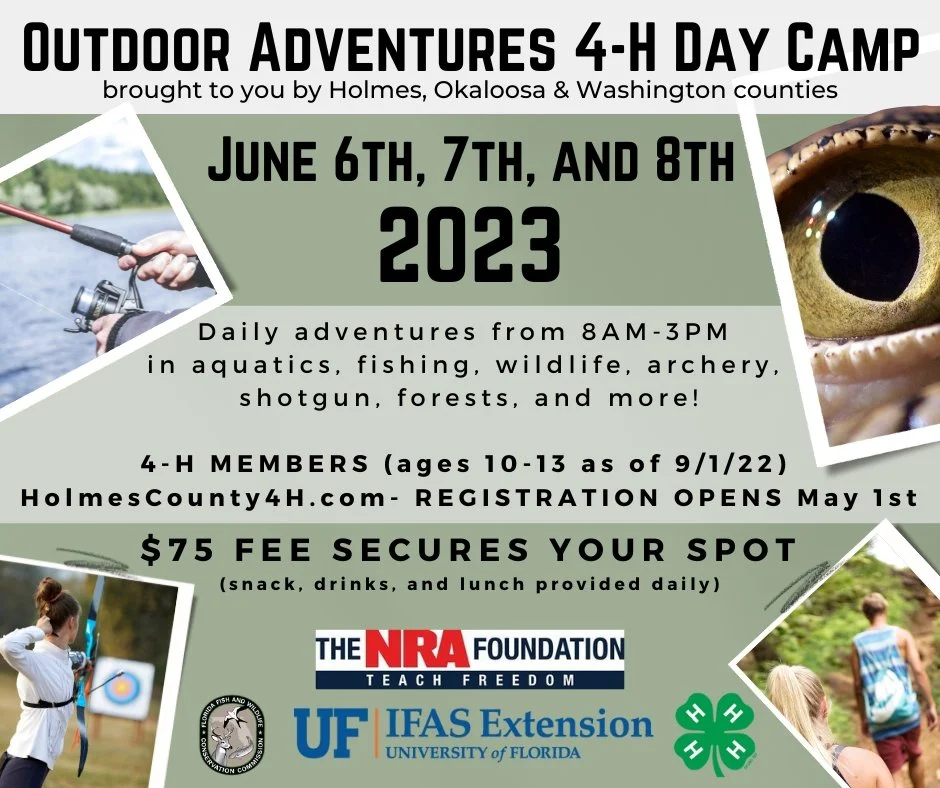 Summer Day Camps — Holmes County 4-H